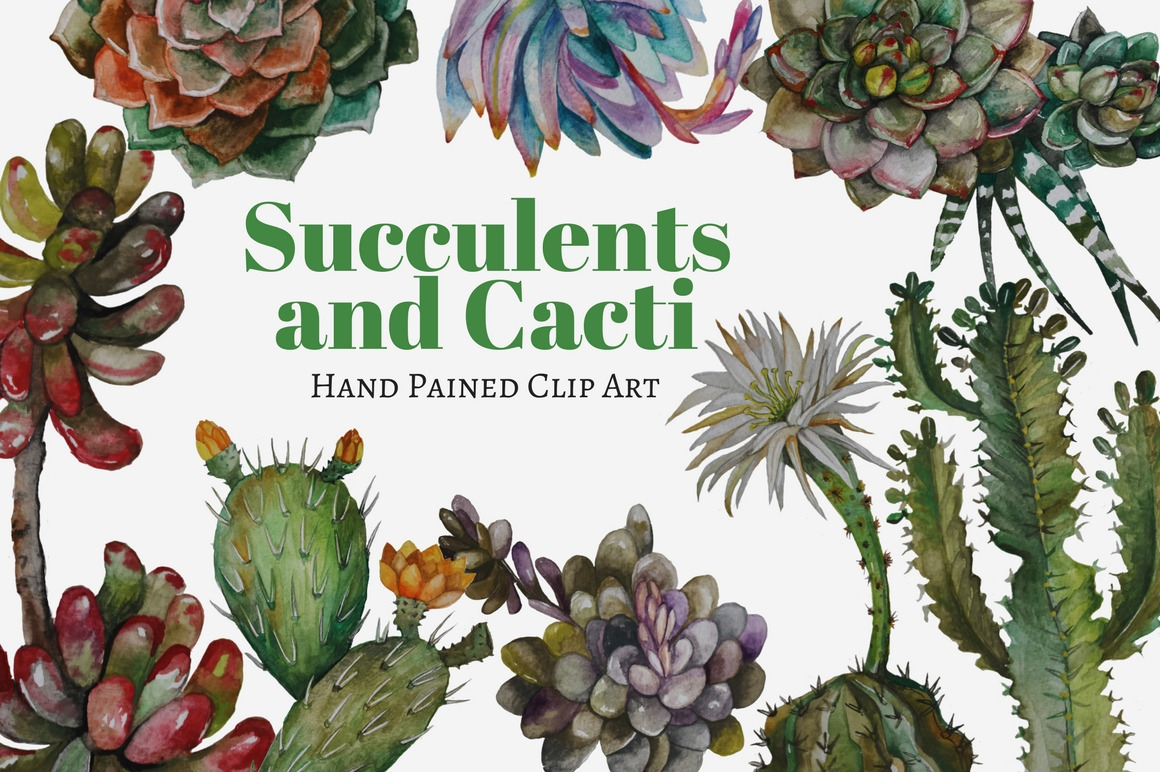 Succulents and Cacti Clip Art Set, an Illustration by Dream in Watercolor