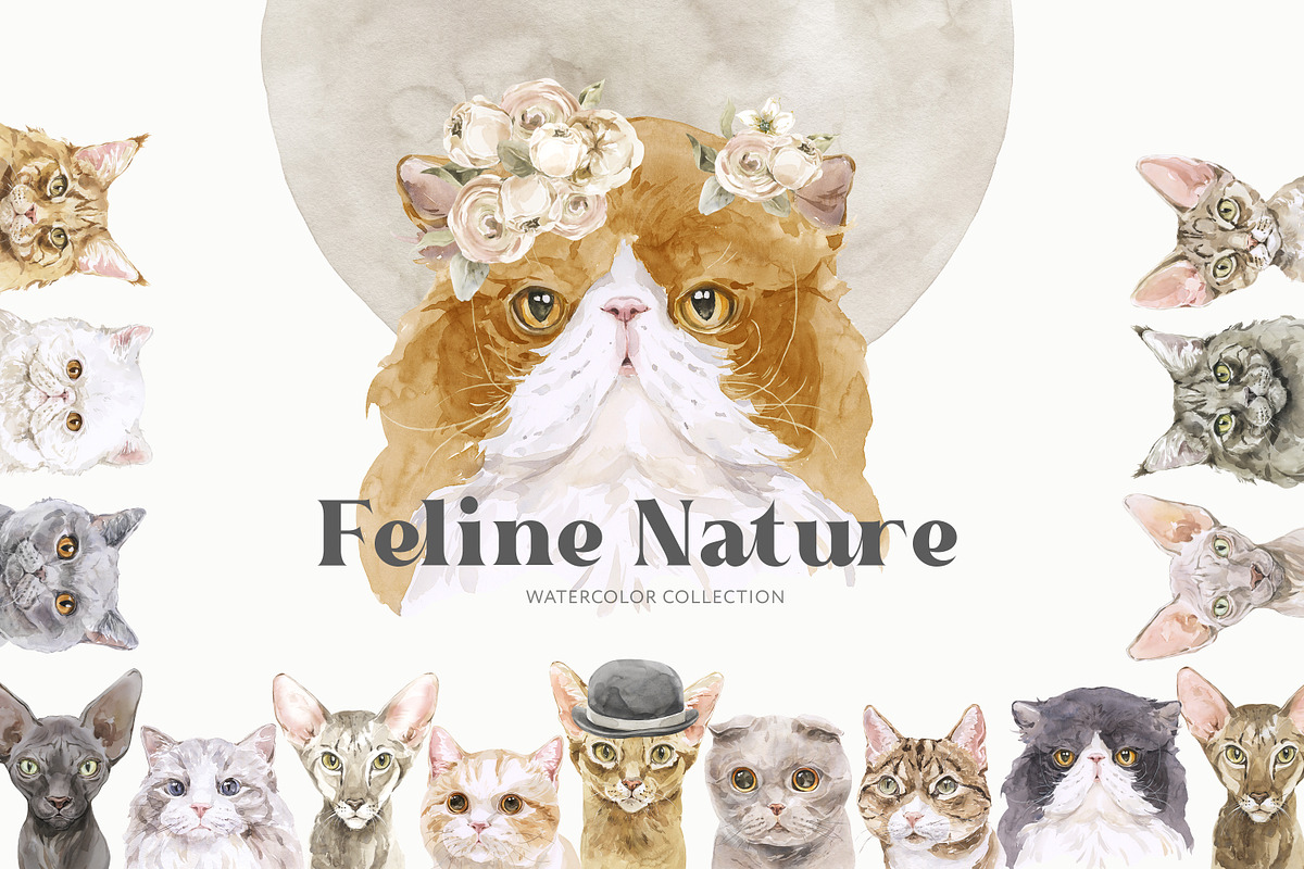 Feline Nature. Cat Portrait Creator, an Illustration by Cat In Colour