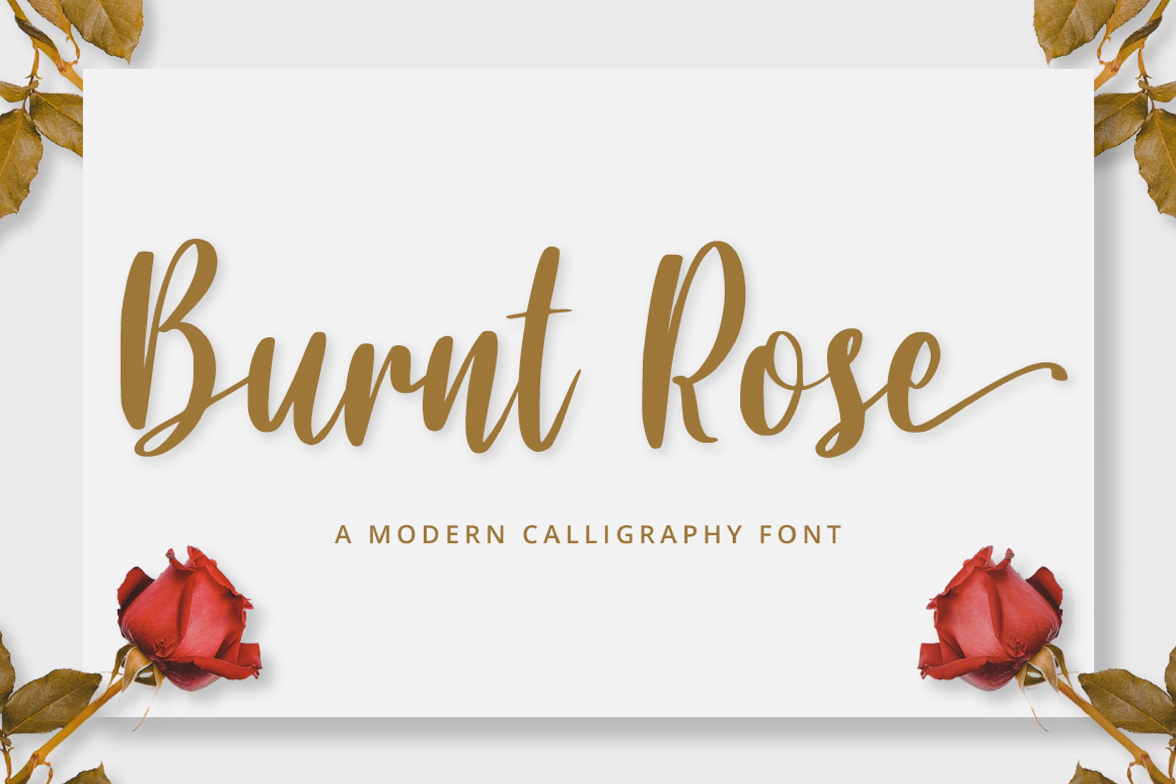 Calligraphy/Cursive Font, a Script Font by Graphue