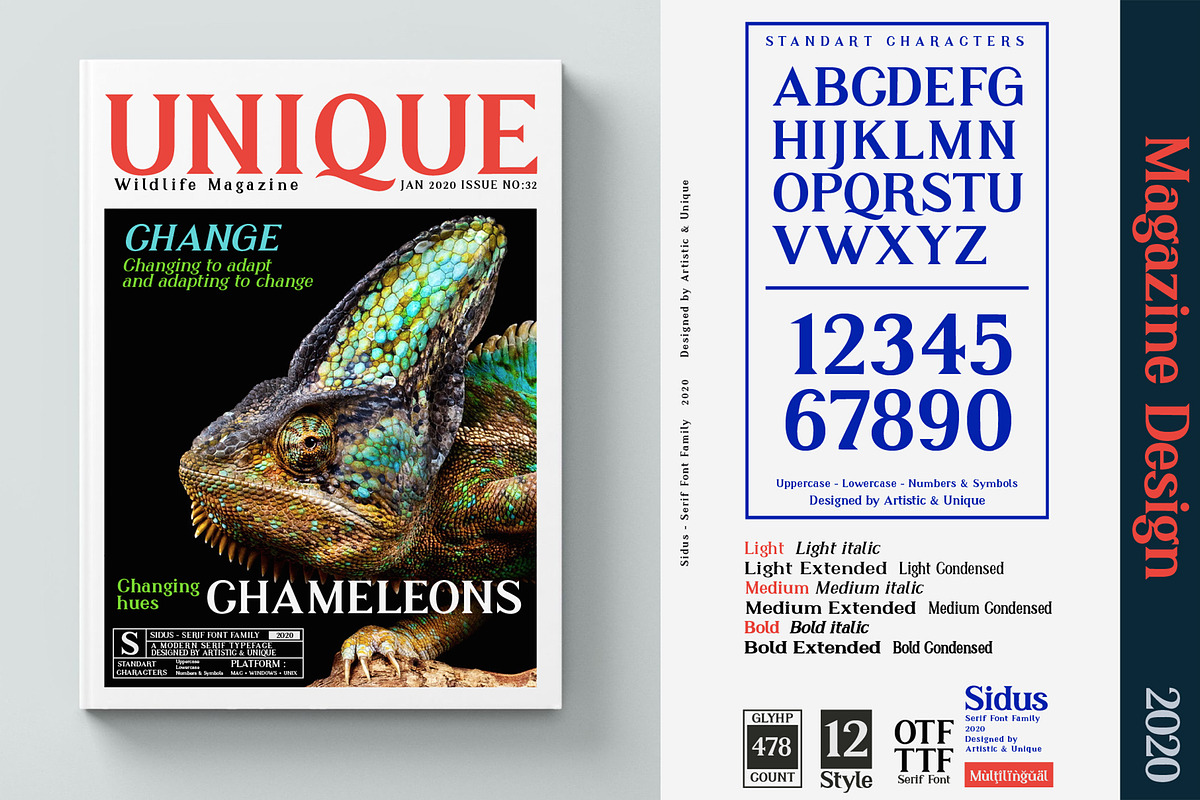 Sidus - Serif font family, a Serif Font by Artistic & Unique