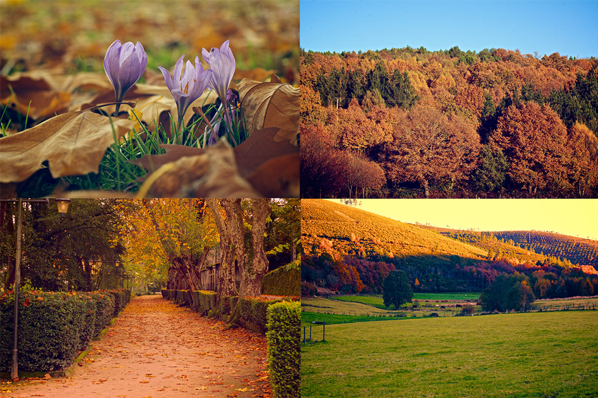 Autumn pack, a Templates & Theme by ApertureVintage