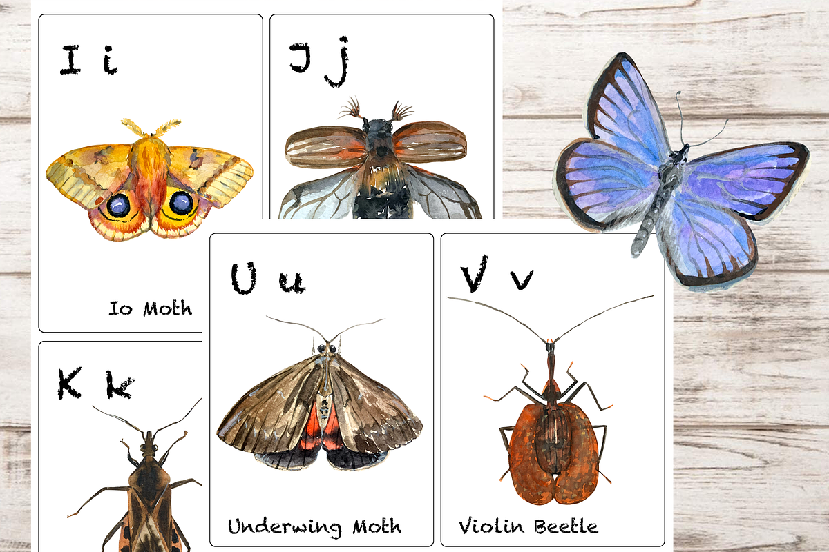 Watercolor ABC Insects Flashcards, an Education Illustration by Tati Bordiu