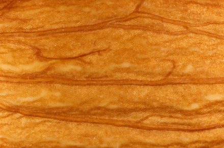 Forest almond nut texture surface containing nut, food, and macro, a ...