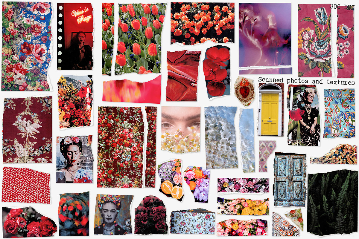 Viva la Vida: Collage Creator Pack, an Object Graphic by lerinartstudio