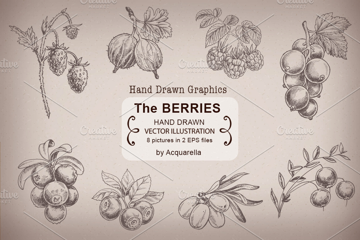 The BERRIES Set, an Illustration by Acquarella | Creative Market