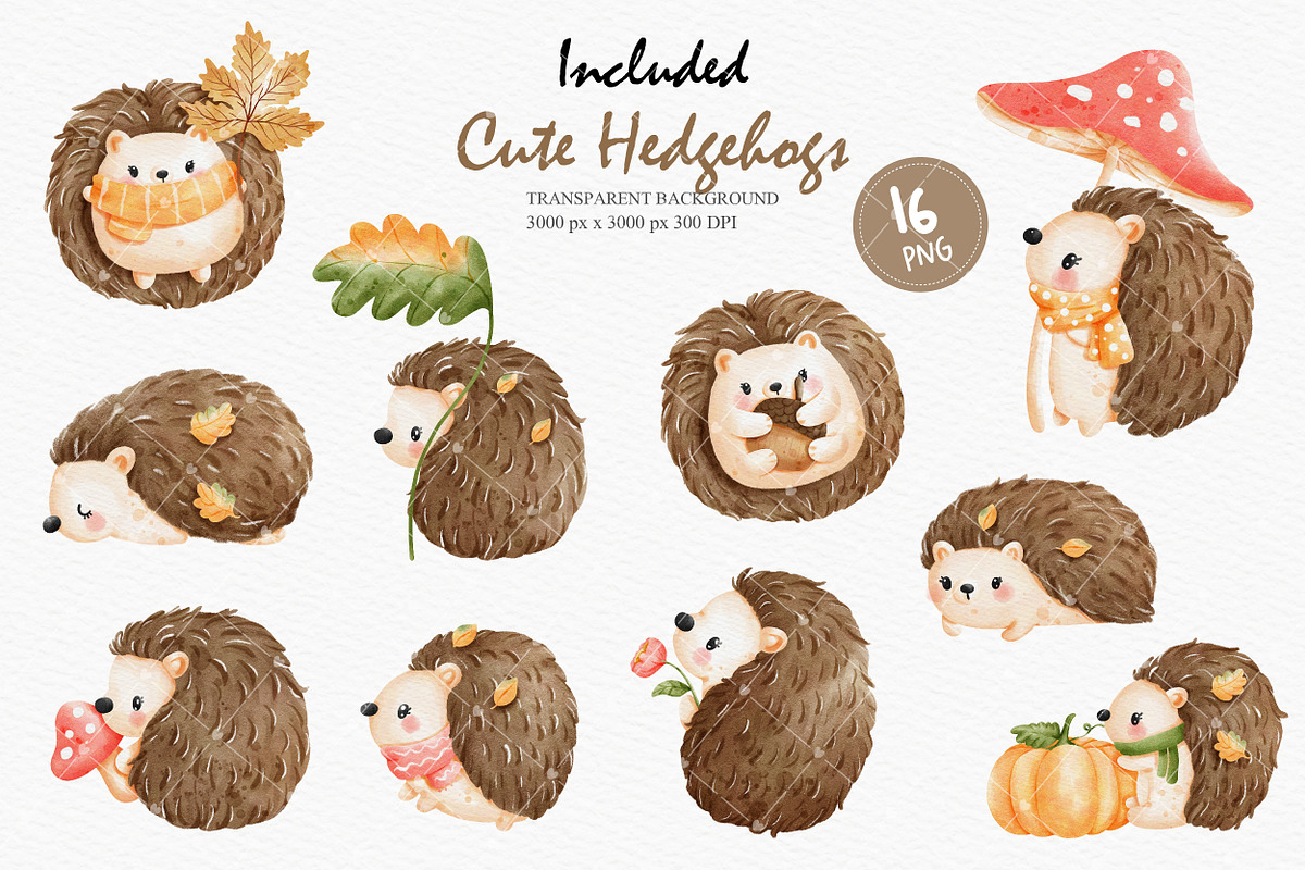 Autumn hedgehogs cliparts, an Animal Illustration by Chonnieartwork