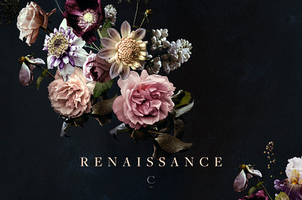 The Violet Collection, an Illustration by Create The Cut