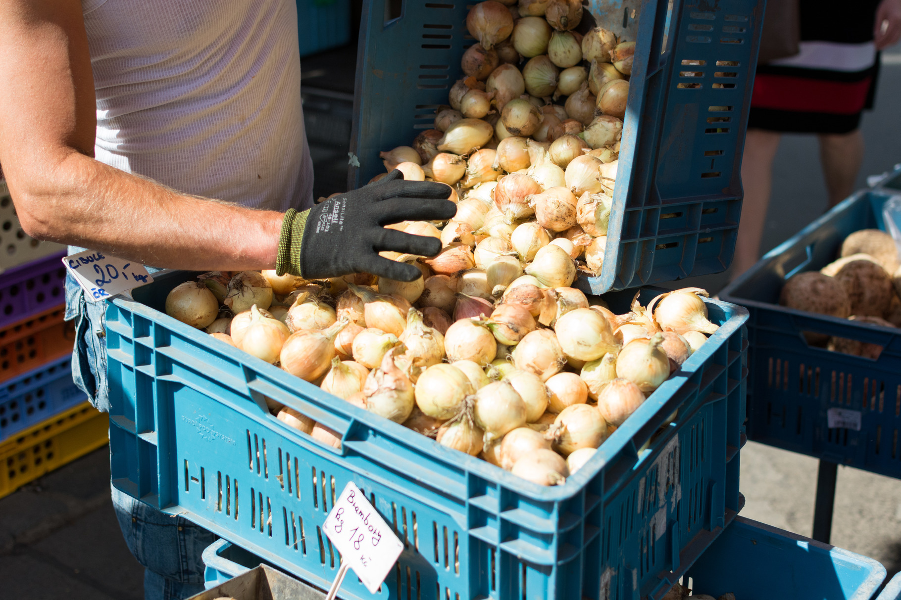Onion for sale at farmers market, a Food & Drink Photo by Jakub's Food ...