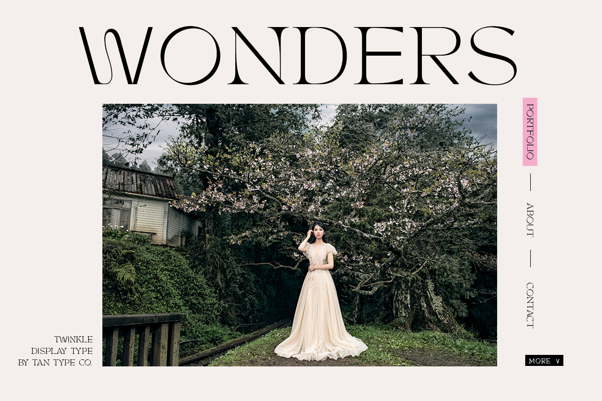 TAN - TWINKLE, a Serif Font by TanType