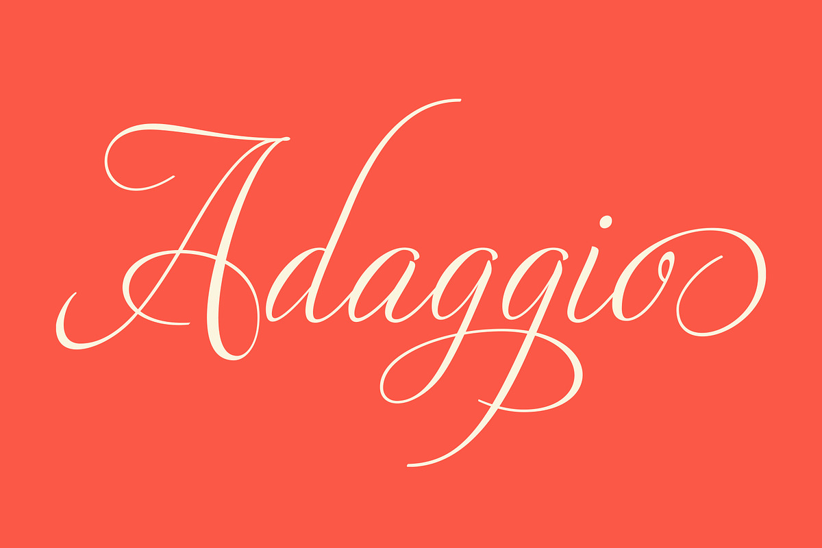 Adios Script, a Script Font by Sudtipos | Creative Market