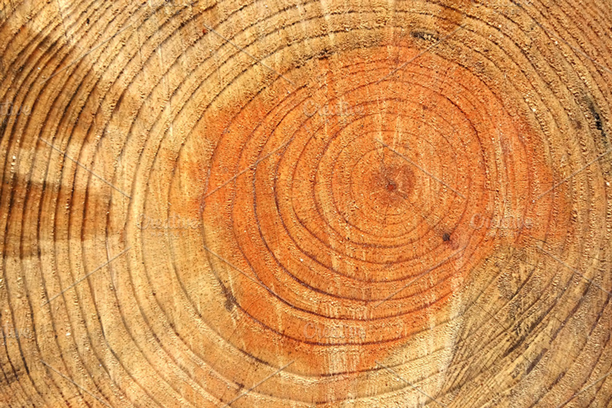 20 Tree End Textures, a Texture Graphic by TrueMitra Designs