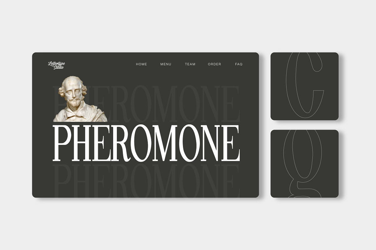 Pheromone | Modern Classic Serif, a Serif Font by Lettertype Studio