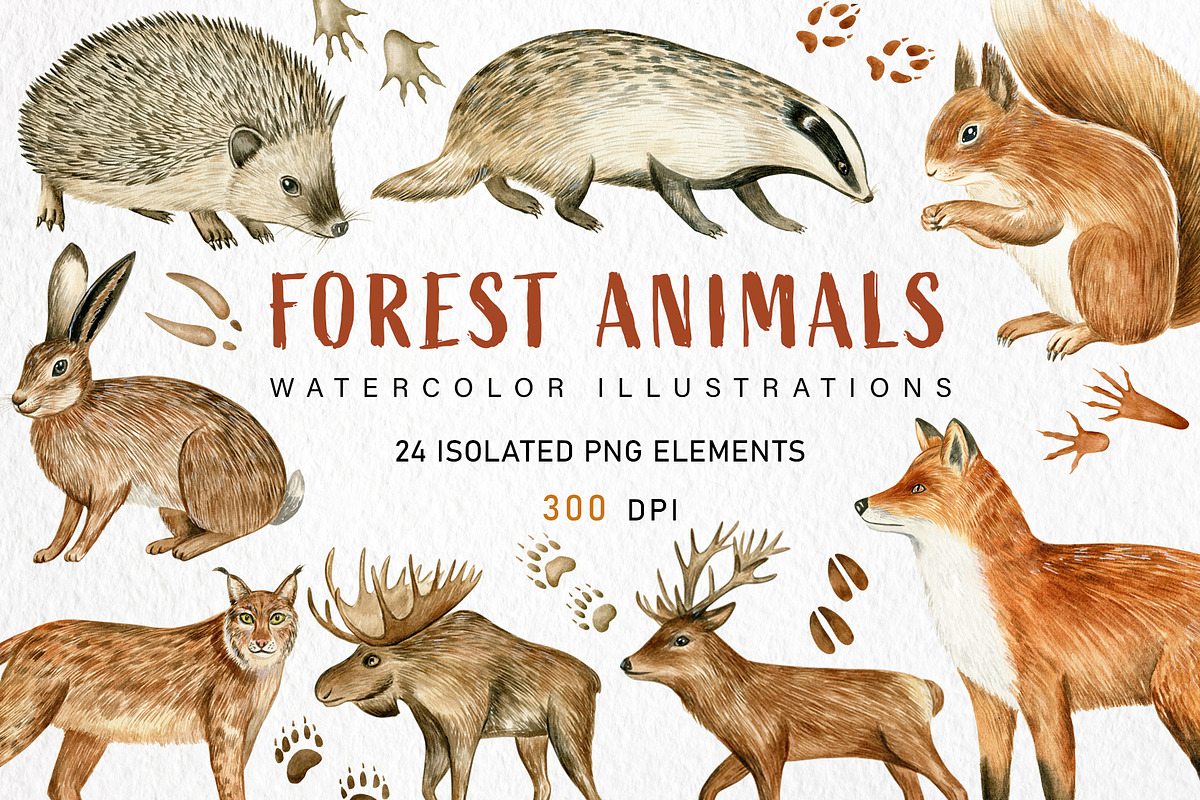Watercolor Forest Animals Clipart. Hand Painted Woodland Set. Wild ...