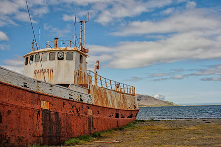 Traditional Maori boats, a Transportation Photo by Patricia Hofmeester