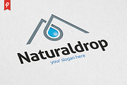 Natural Drop Logo, a Branding & Logo Template by ft.studio | Creative ...