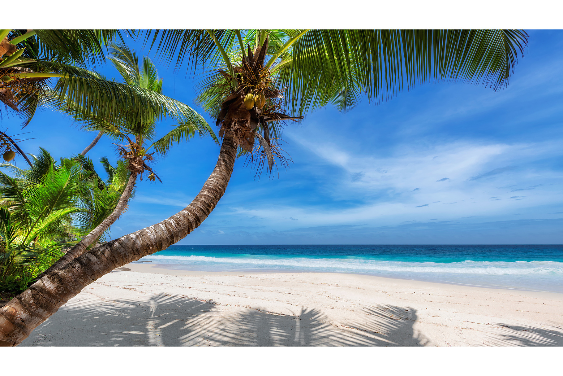 Sunny beach in tropical island, a Nature Photo by Lucky Photographer