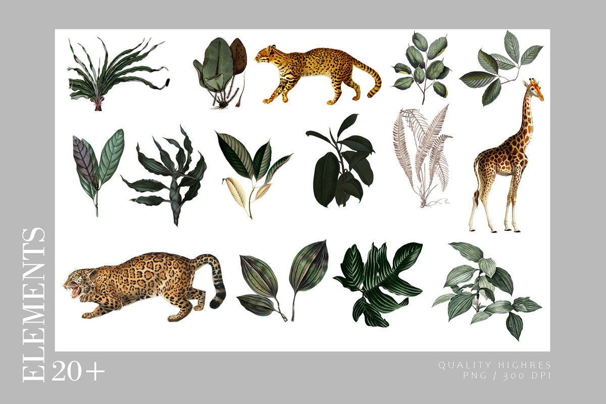 Wild pattern Summer, a Wallpaper Graphic by Luiz da Rolt Grathwohl