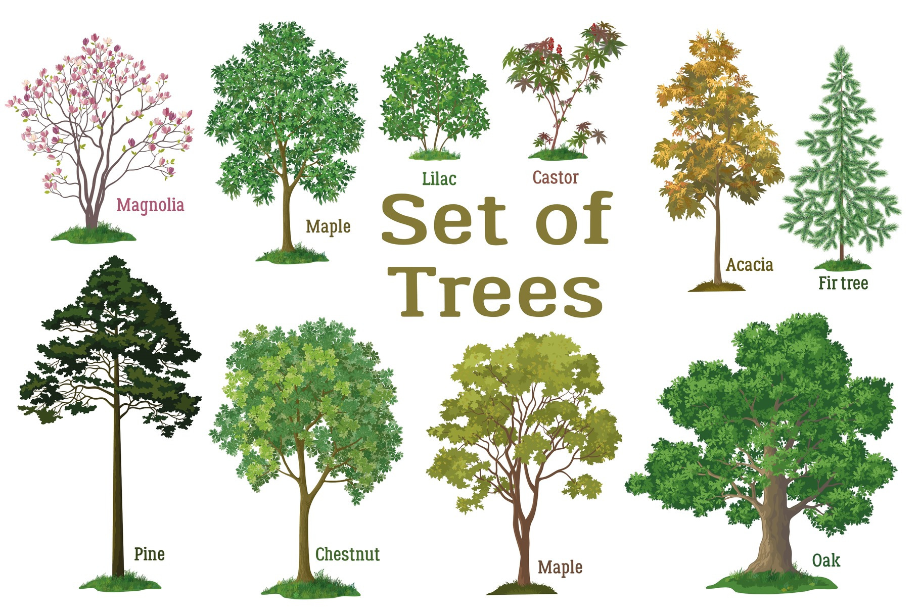 Set Plants, Trees and Bushes, an Object Graphic by Ok-sana