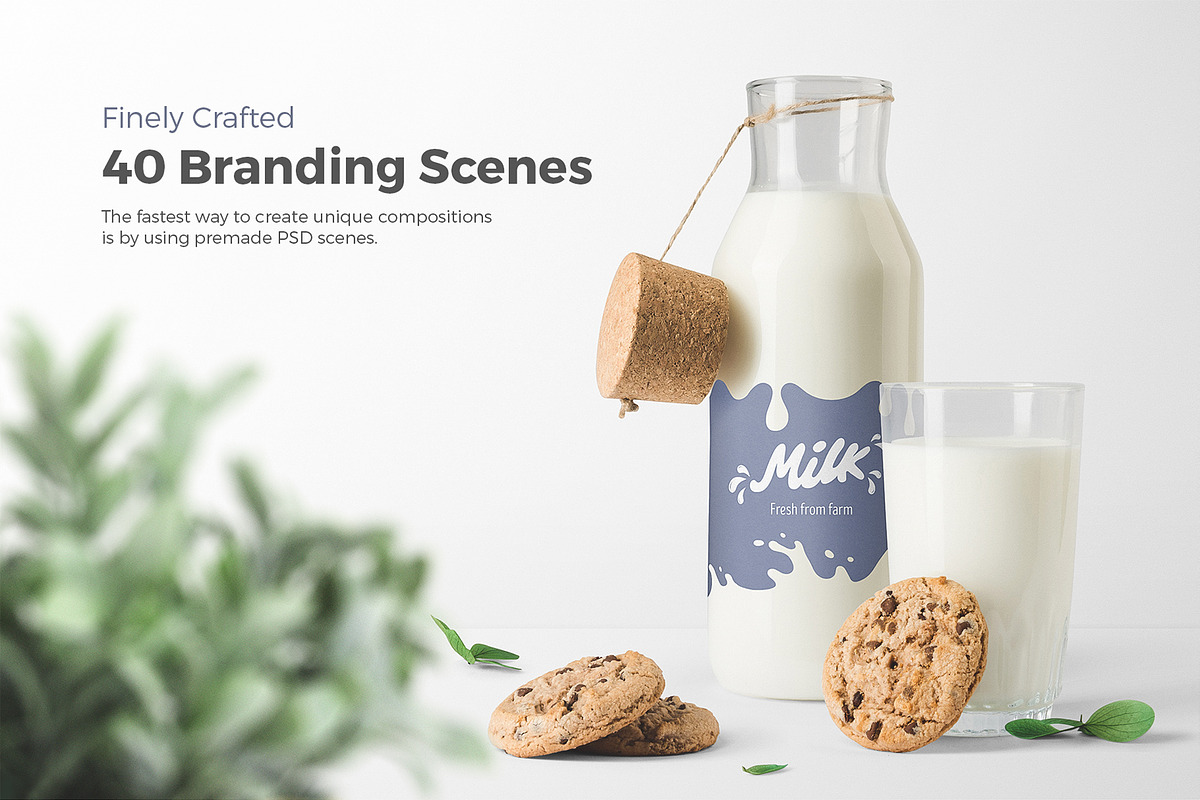 Packaging Mockup Collection