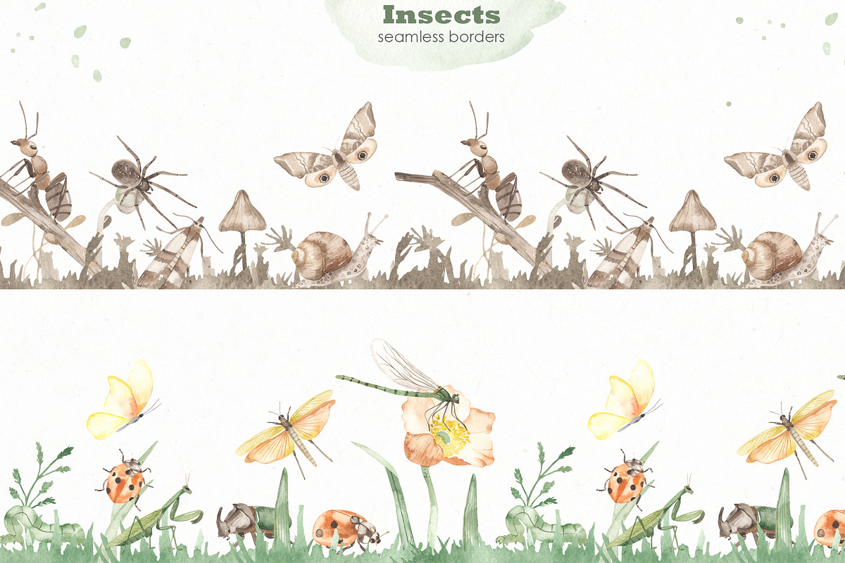 Insects watercolor collection