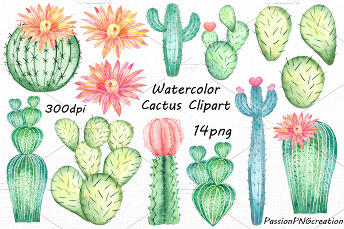 Watercolor Cactus Clipart, an Illustration by PassionPNGcreation