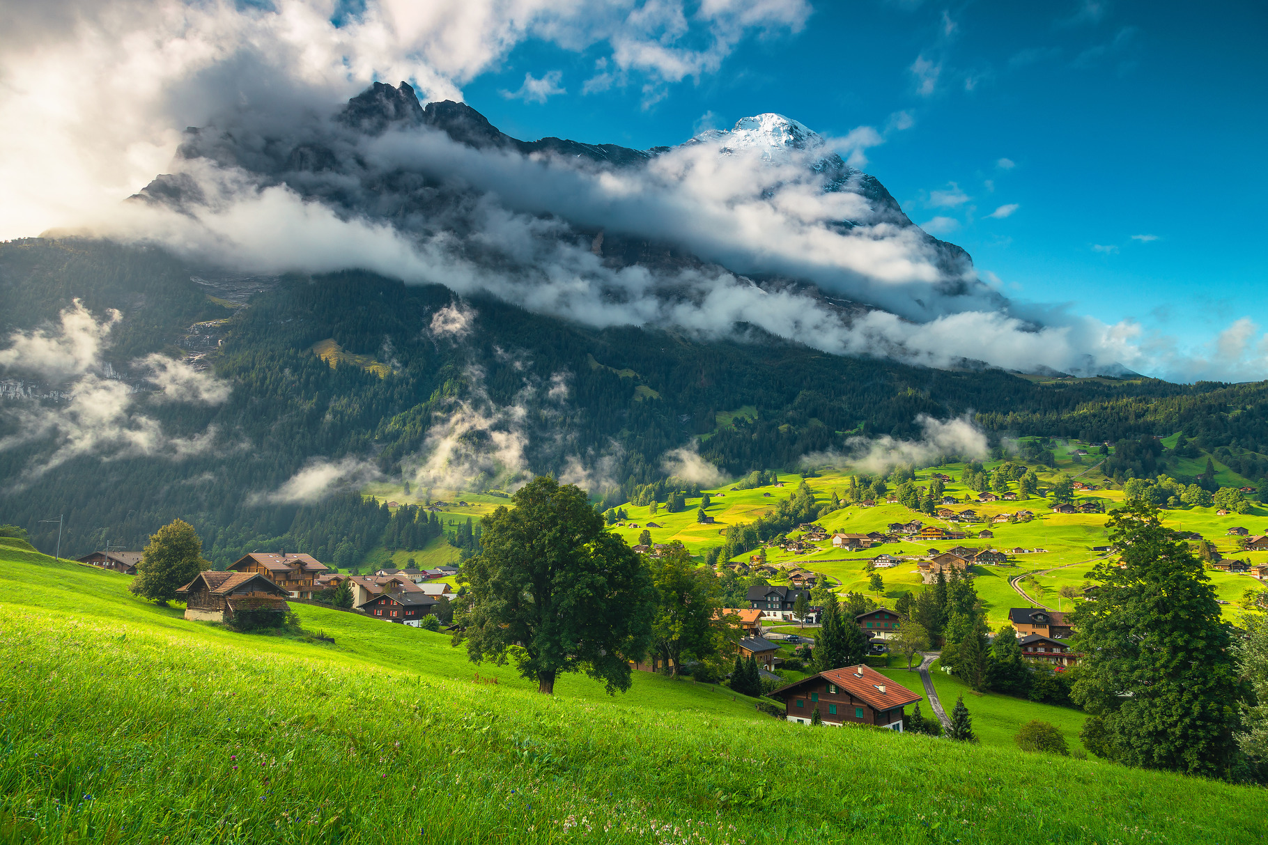 Grindelwald village in Switzerland | Nature Stock Photos ~ Creative Market