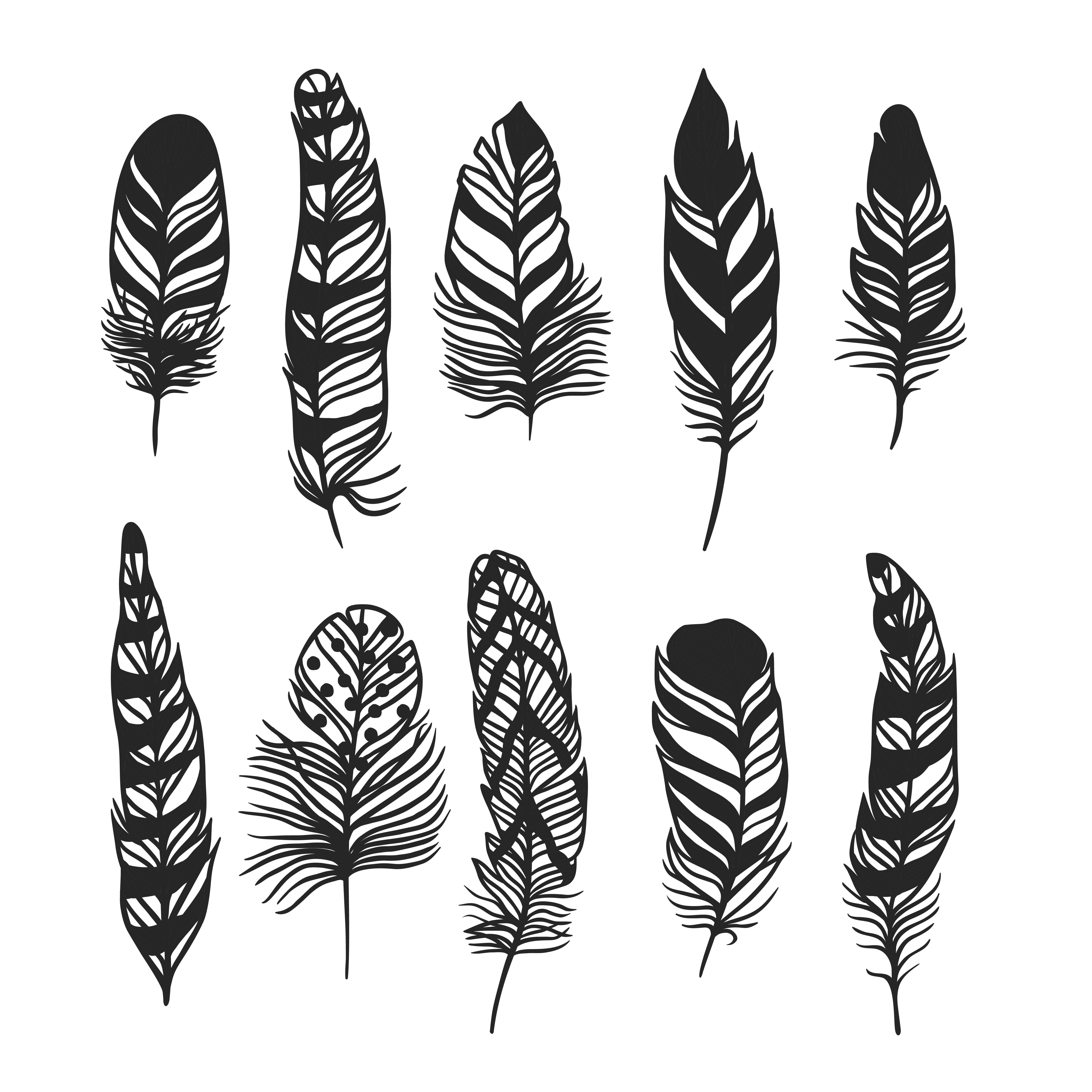 Boho feather hand drawn vector, a Decorative Illustration by ...