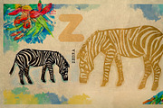 English alphabet , Zebra | Animal Illustrations ~ Creative Market