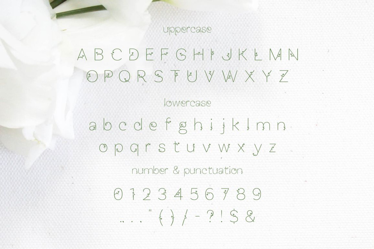 Bunga font, a Serif Font by Akdesain