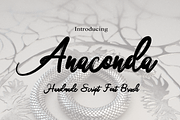 Anaconda Script Brush, a Script Font by Naqsya.Co