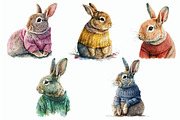 Safari Animal set rabbits in multi, an Object Graphic by ZinetroN