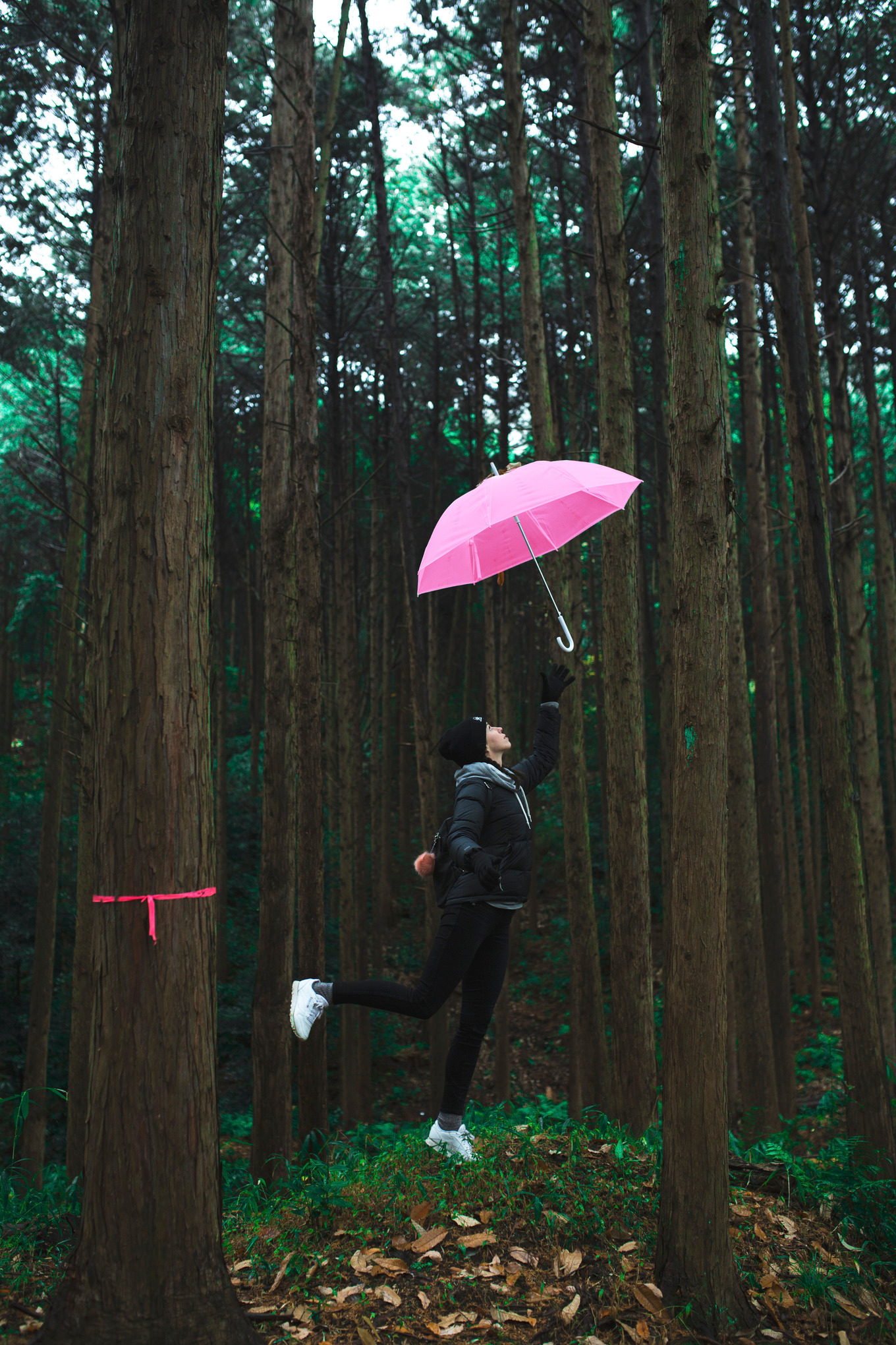 Leap in forest, a Photo by Ben Blenner Photography