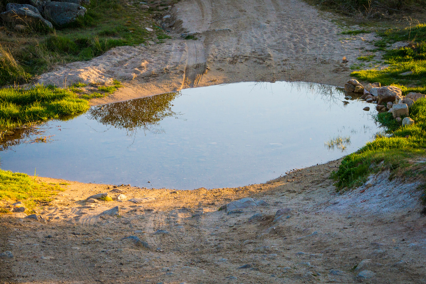 A puddle of water, a Nature Photo by luismigueljj | Creative Market