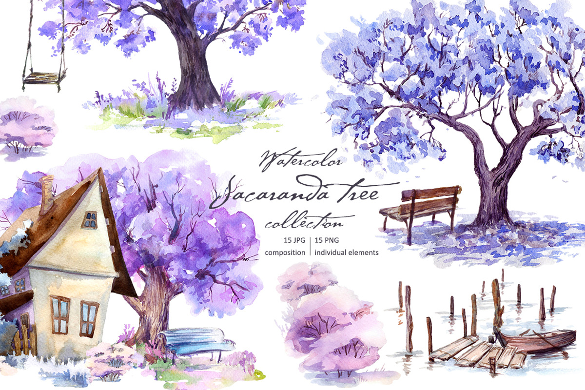 Blooming Jacaranda tree Watercolor
