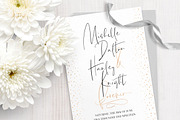 Sonneta Script, a Script Font by DISTRICT 62 STUDIO