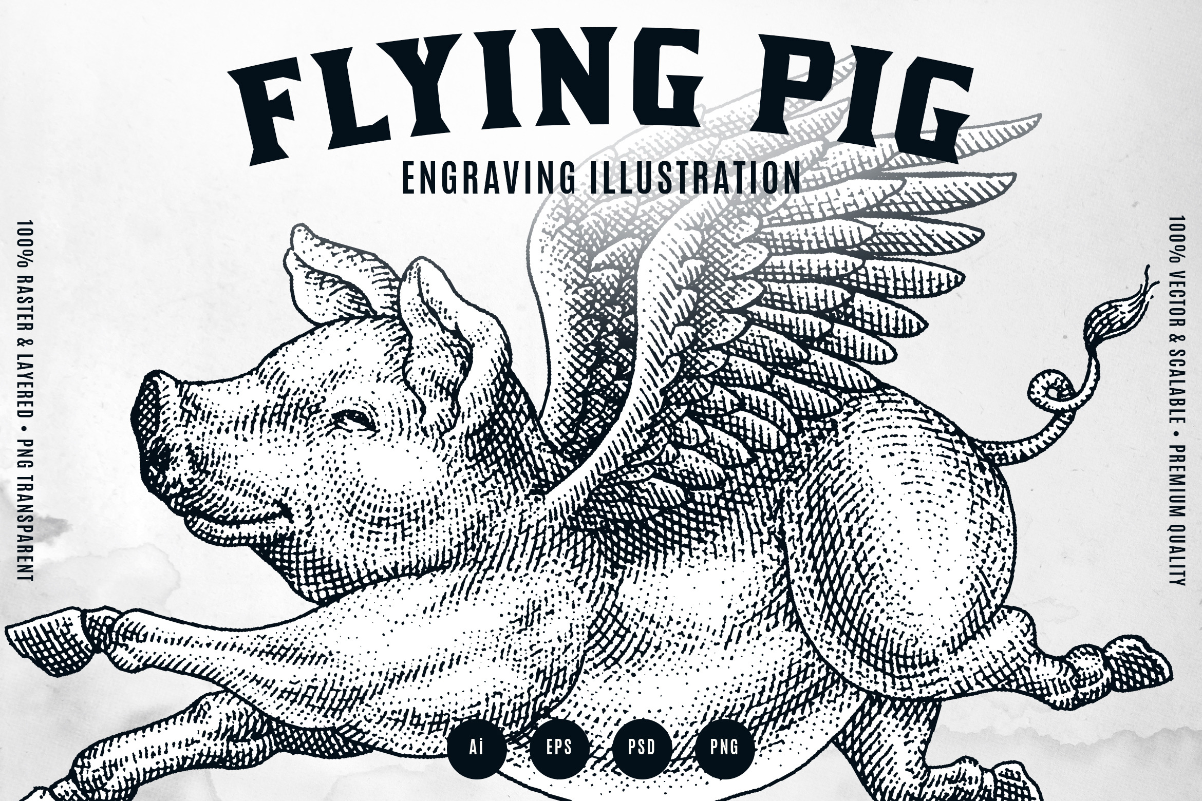 Flying Pig Engraving Illustration
