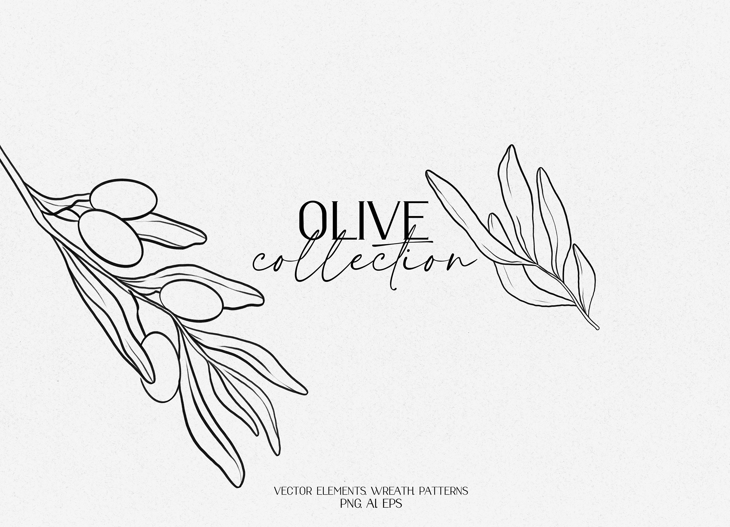 Olive branch | line art